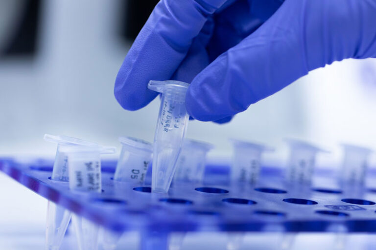Purification - Oligo Factory