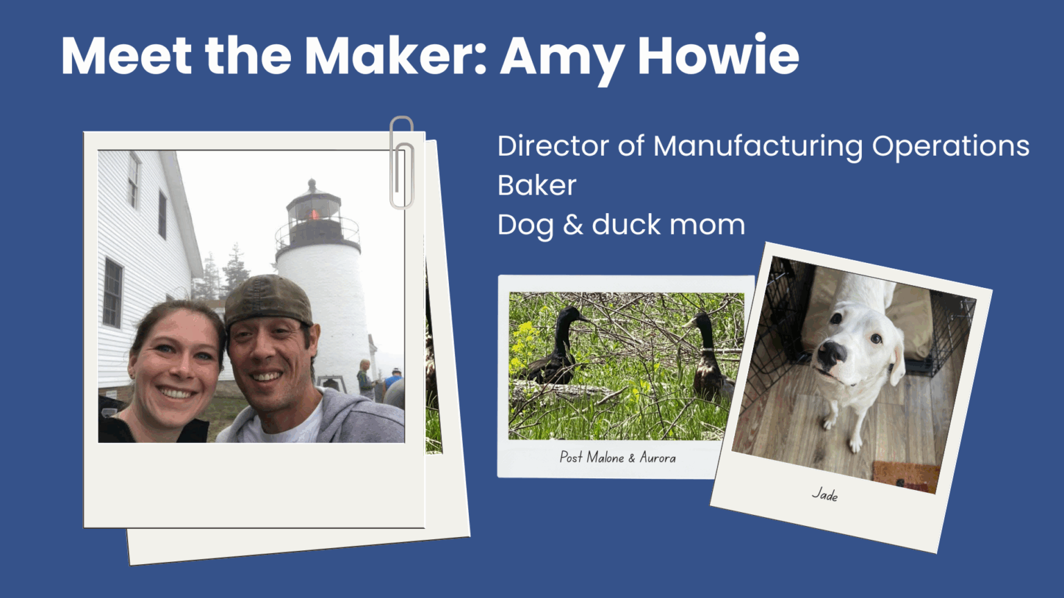 Meet the Maker: Amy Howie - Oligo Factory